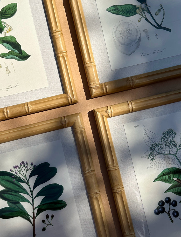 Productos – Page 37 – Testimonia