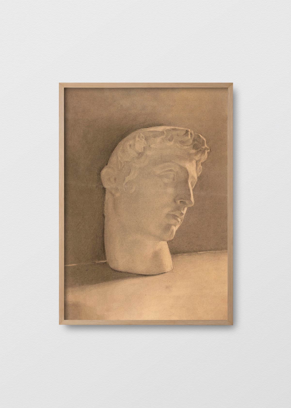 Cuadro Apolo – Testimonia